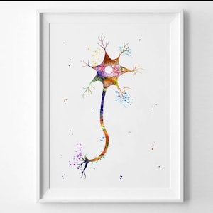 Neuron Cell Art Print Watercolor Neurons Synapses Print Brain Cells ...