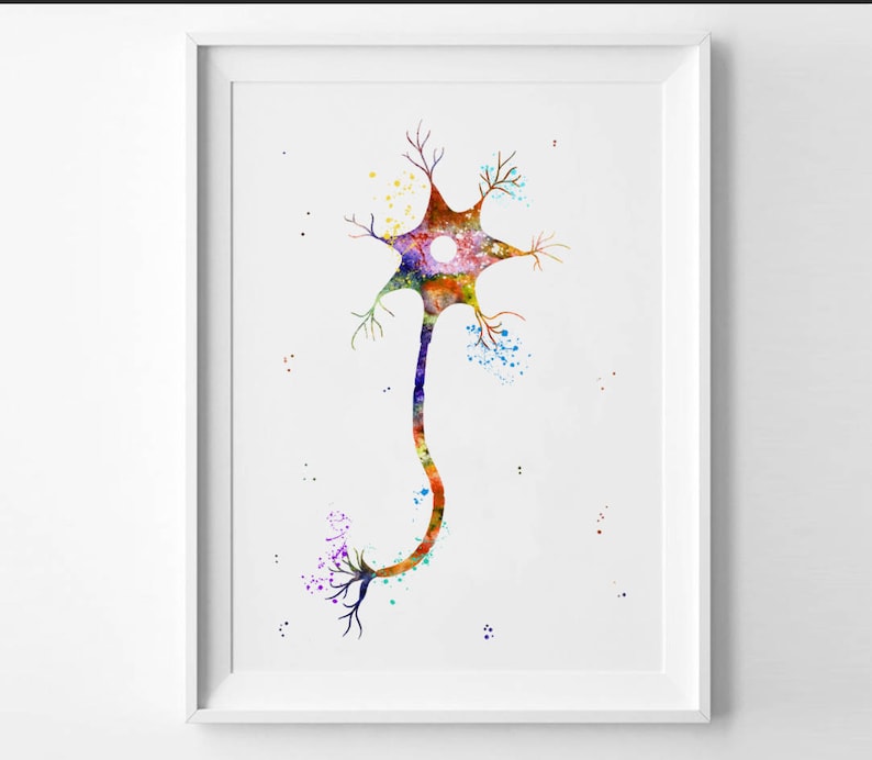 Neuron Cell Art Print Watercolor Neurons Synapses Print Brain Cells ...