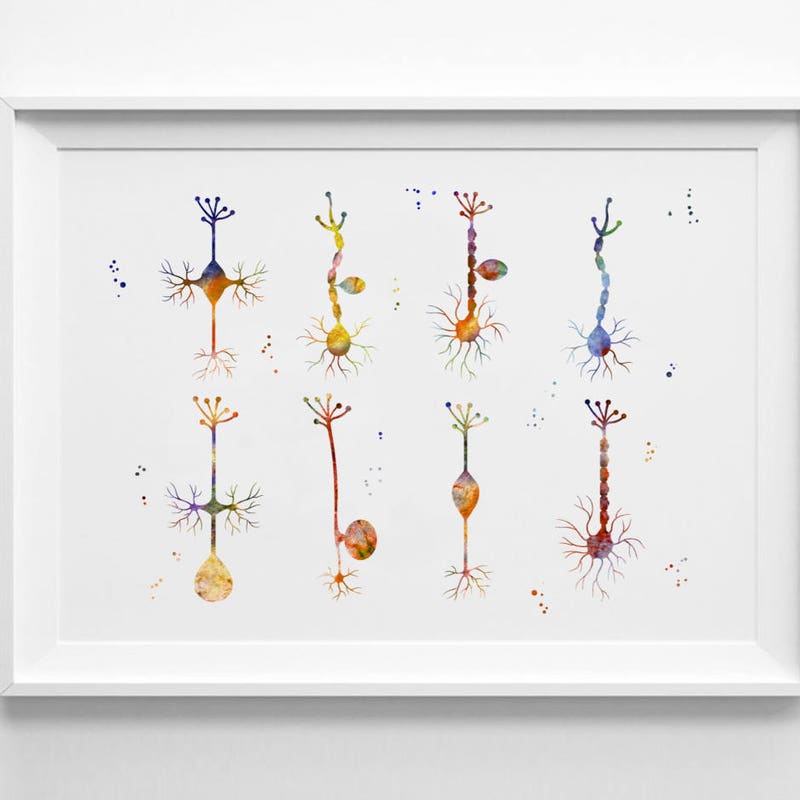Neuron Art - Etsy