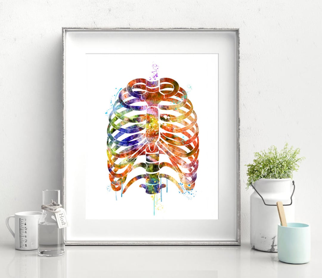 Thorax Rib Cage Bones Watercolor Anatomy Human Print Anatomy Art Print ...