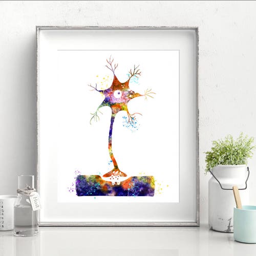 Neuron Cells Art Print Watercolor Neurons Synapses Print Brain - Etsy