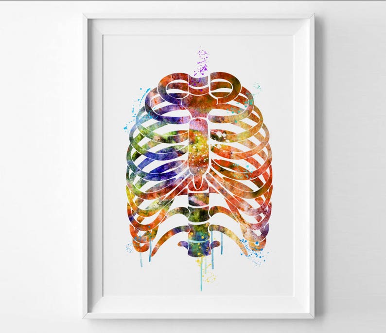 Thorax Rib Cage Bones Watercolor Anatomy Human Print Anatomy - Etsy