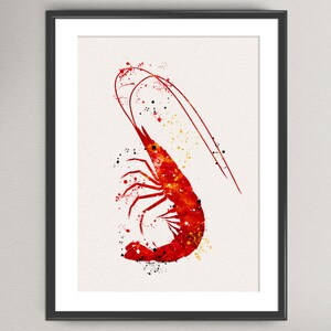 PRAWN Watercolor Art Print Sea Life Prawn Ink Painting Underwater ...