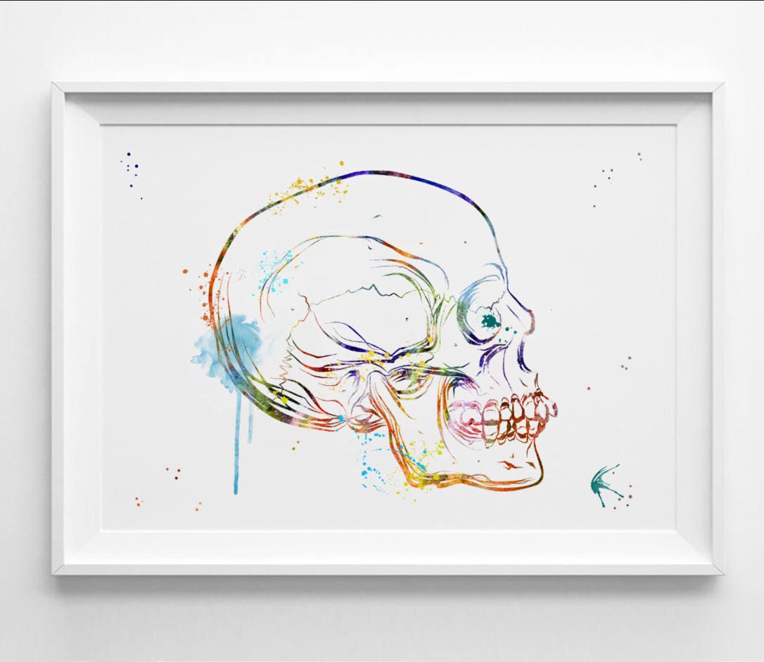 Human Skull Brain Print Watercolor Anatomy Art Print Human | Etsy