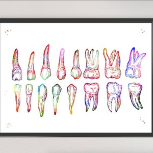 Teeth Watercolor Print Medical Dental Art Human Print Anatomy Art Print ...
