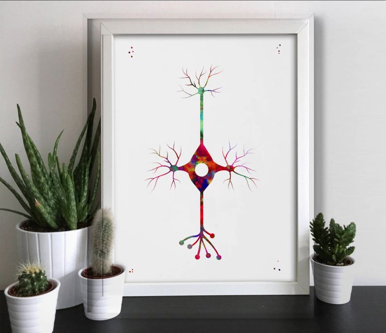 Neuron Cell Art Print Watercolor Neurons Synapses Print Brain - Etsy