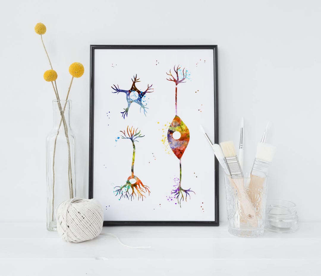 Neurons Cells Watercolor Art Print Neurons Synapses Print Brain Cells ...