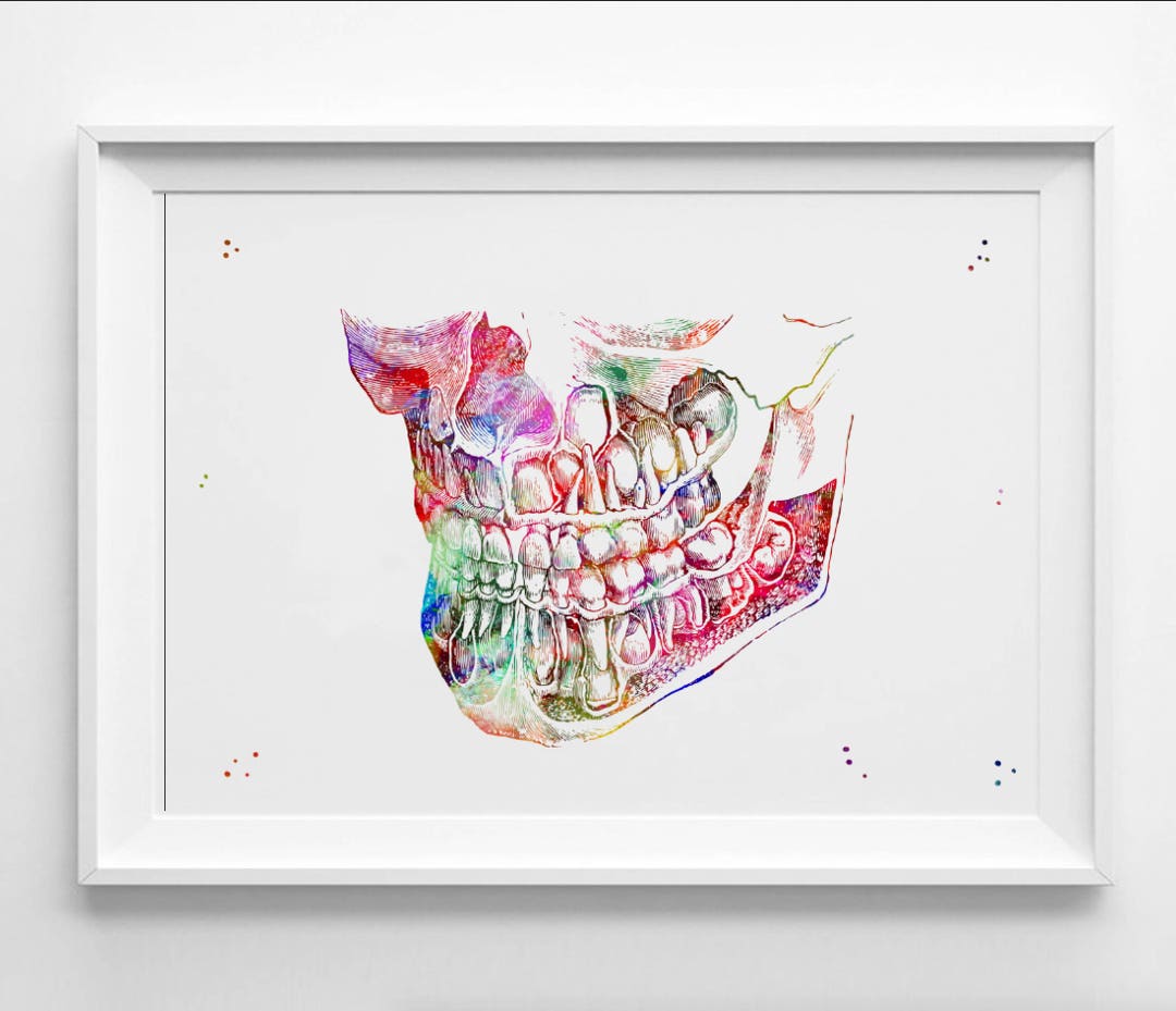 Jaw Mandible Maxilla Jawbone Print Watercolor Dentist Gift Dental Art ...