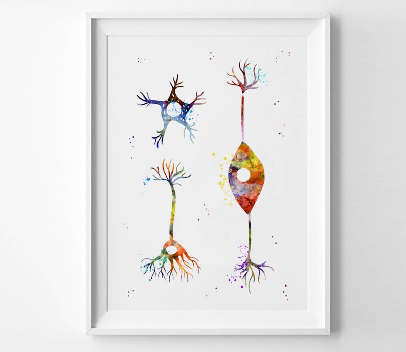 Neurons Cells Watercolor Art Print Neurons Synapses Print Brain Cells ...