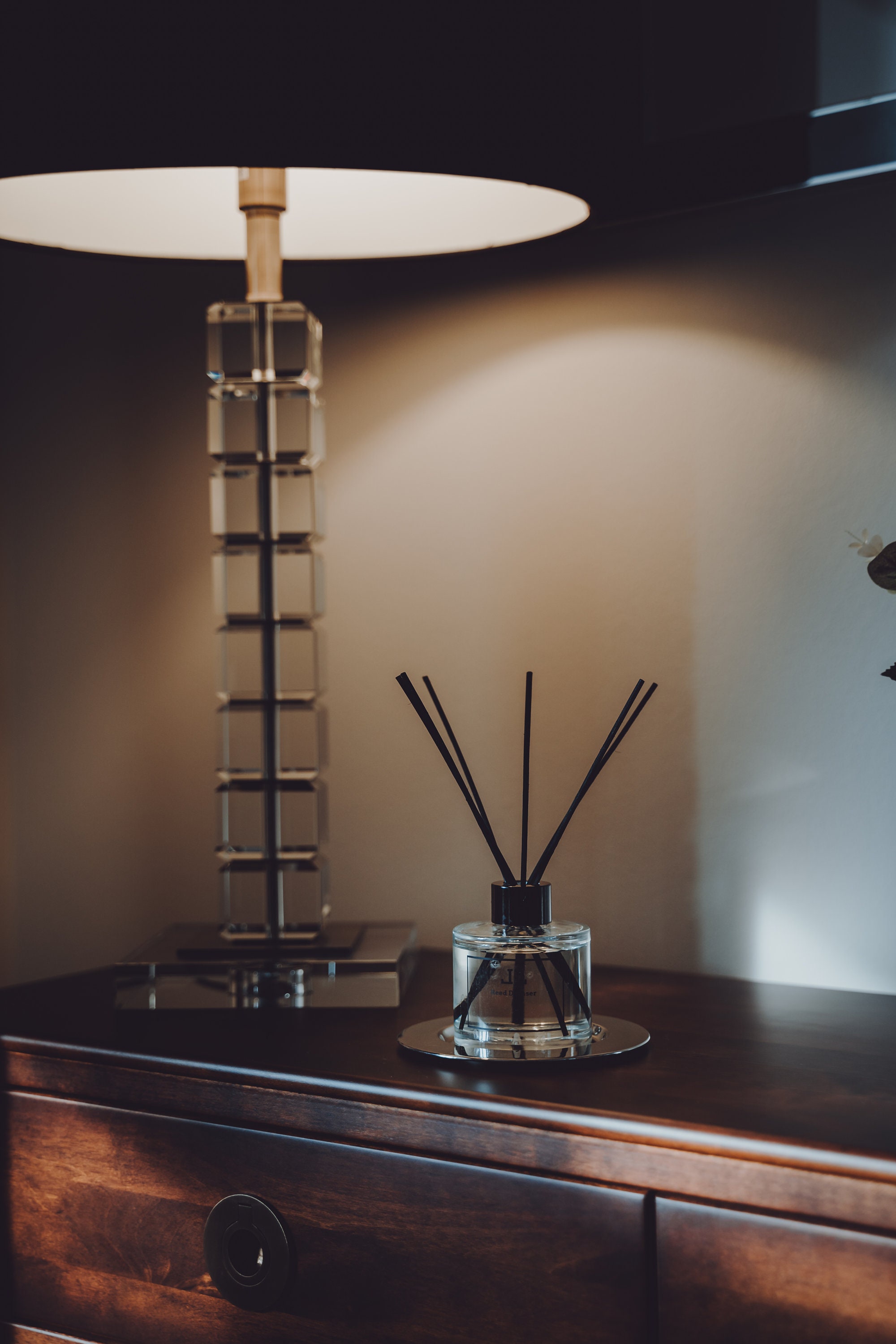 Christmas Spice REED DIFFUSER Bottle With Sticks Festive - Etsy UK