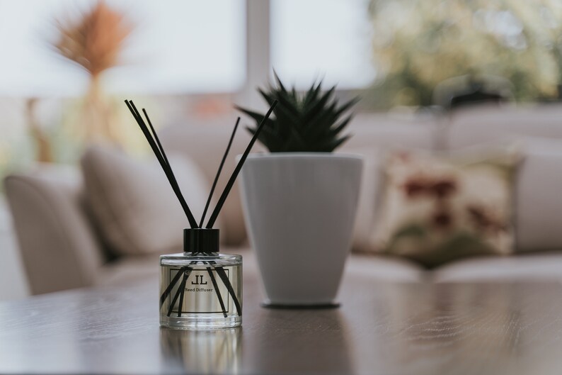 Gingerbread REED DIFFUSER Bottle With Sticks, Christmas Spice Home ...