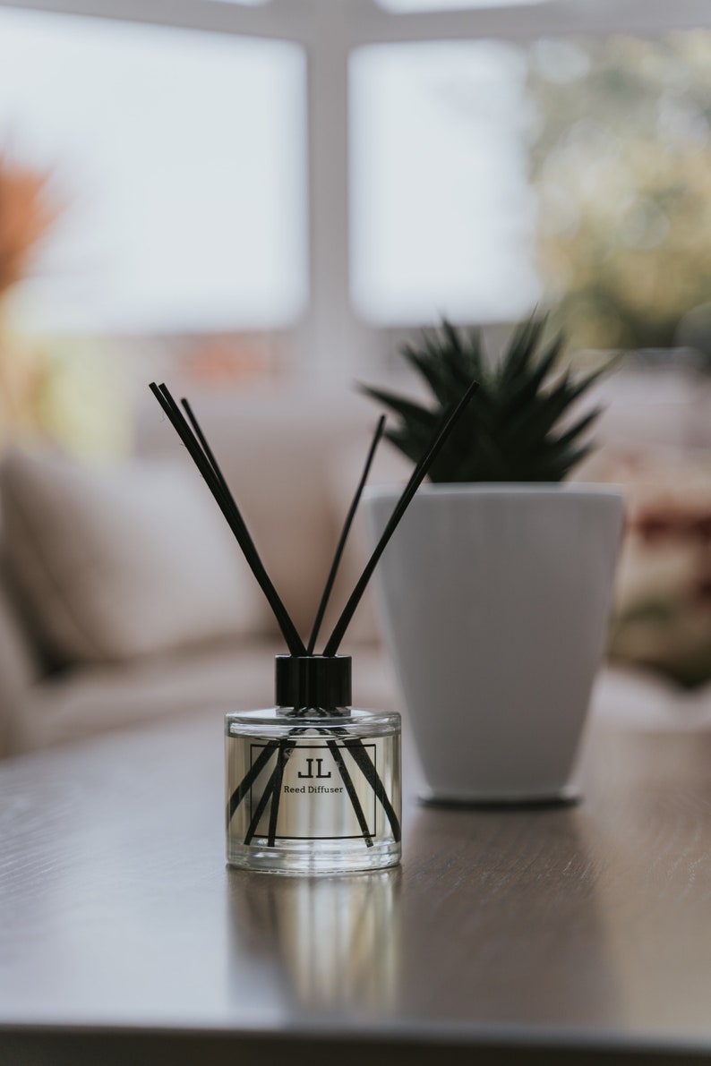 Christmas Spice REED DIFFUSER Bottle With Sticks, Festive Holiday Spicy ...