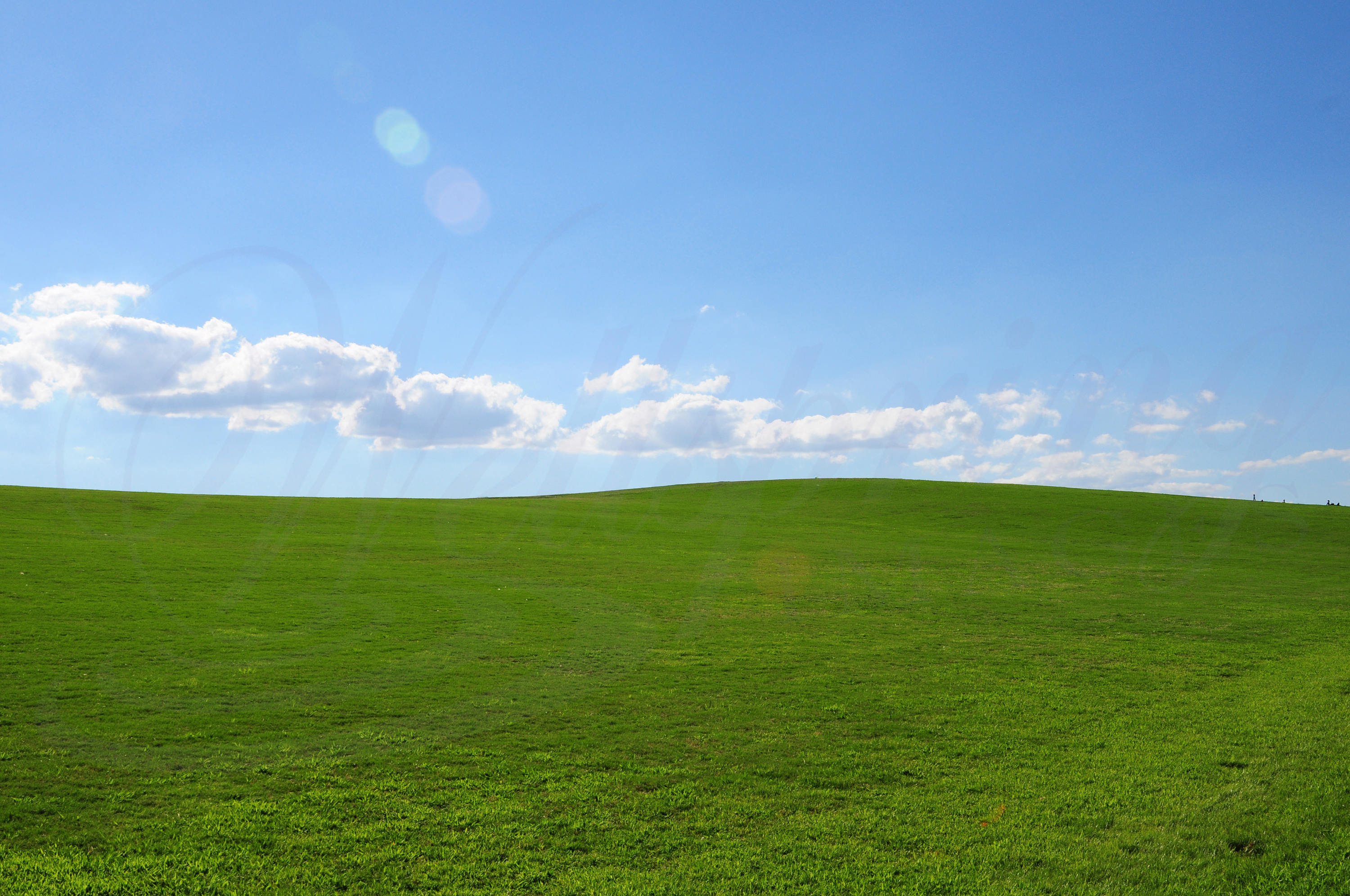 Green grassMount Trashmore hill photography Grassy hill blue | Etsy