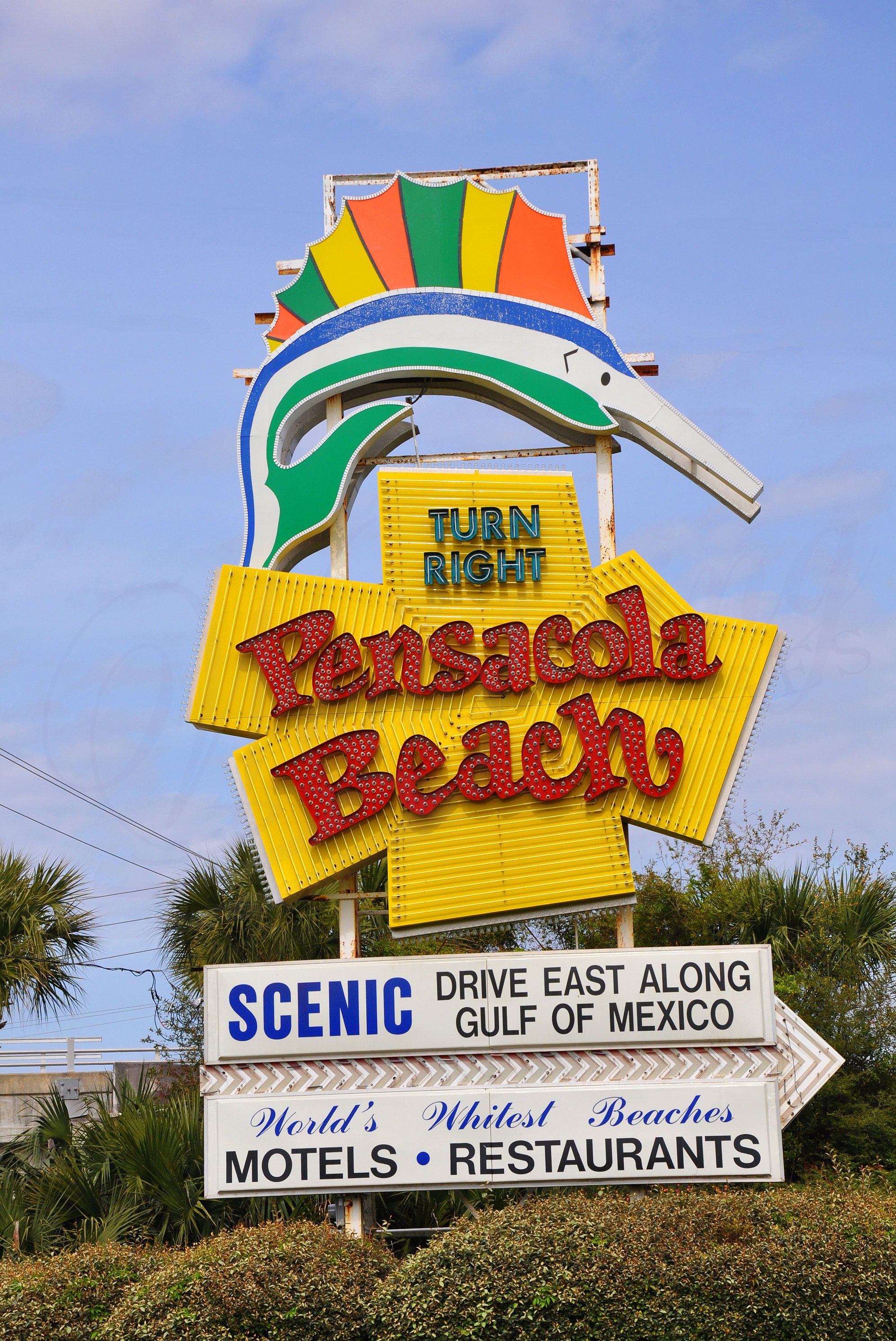 Iconic Pensacola Beach Sign photography Colorful Sailfish | Etsy