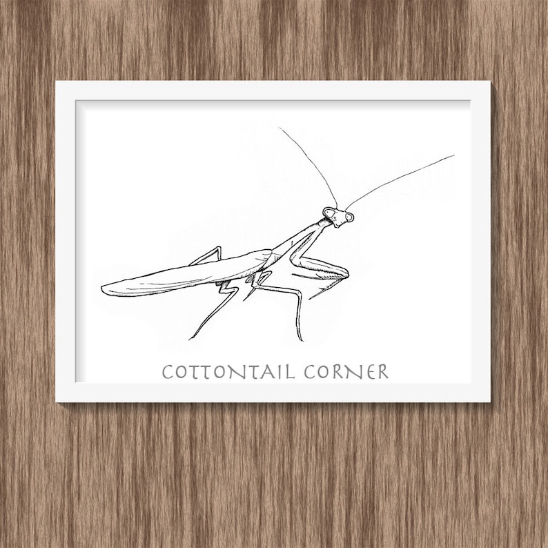 Praying Mantis, Pen and Ink, Hand Drawing, Instant Download, Wall Art ...