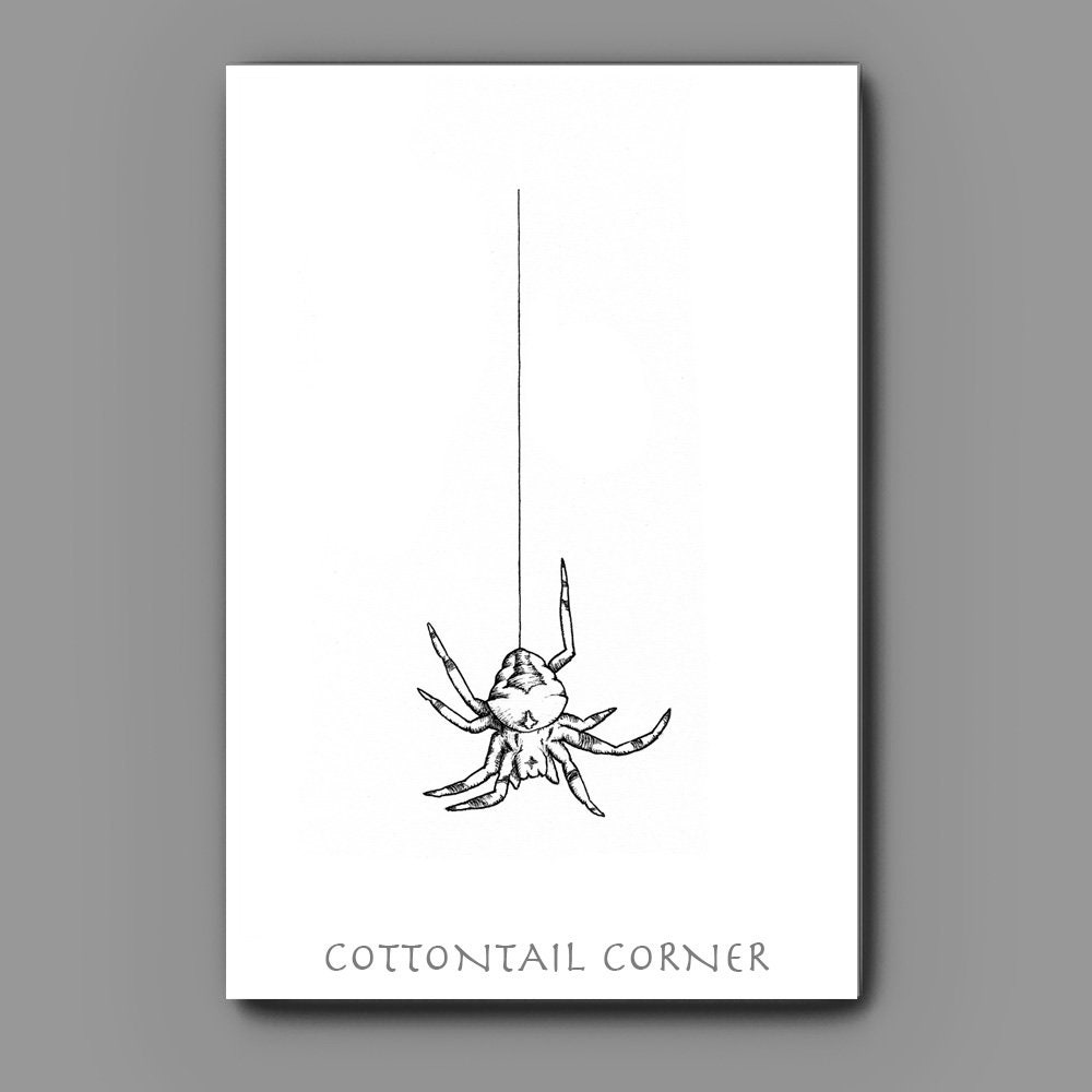 Dangling Spider Drawing, Pen and Ink, Hand Drawing, Instant Download ...