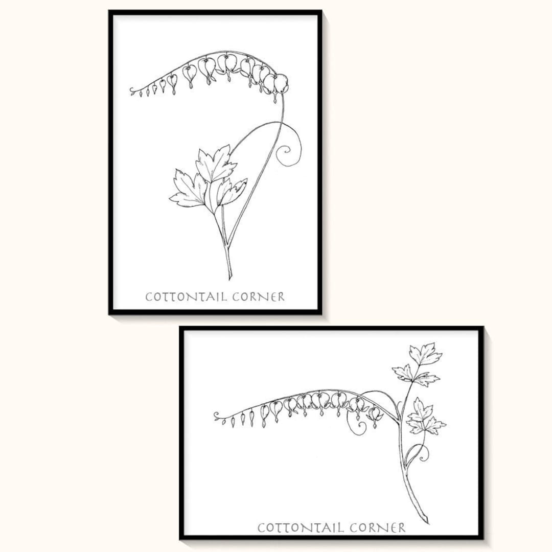 Bleeding Heart Flower, Pen and Ink, Hand Drawing, Instant Download ...