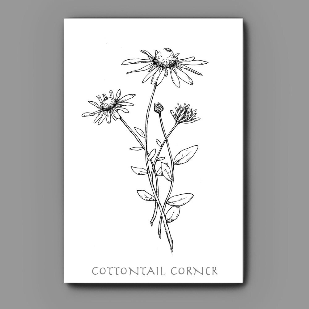 Black Eyed Susan, Pen and Ink, Hand Drawing, Instant Download, Wall Art ...