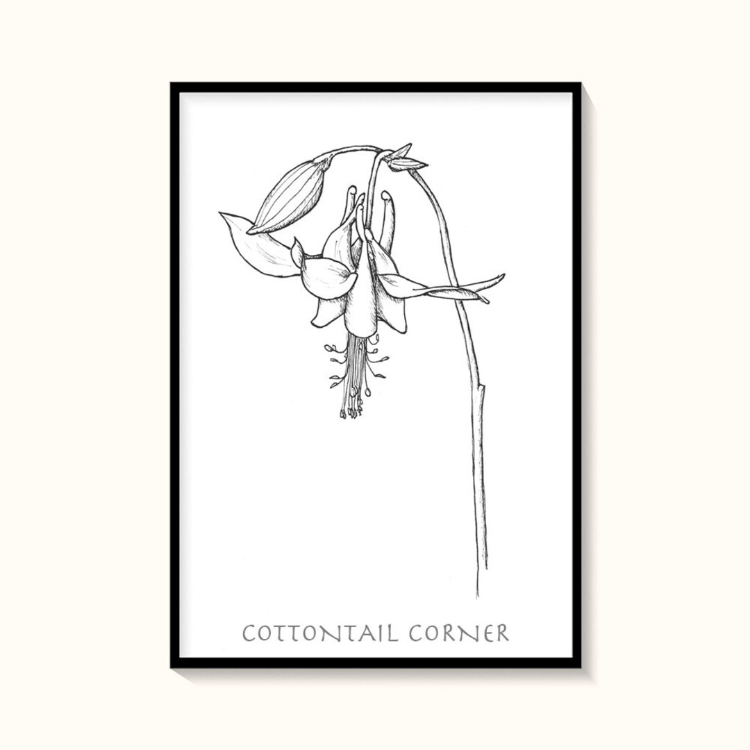 Columbine Flower, Pen and Ink, Hand Drawing, Instant Download, Wall Art ...