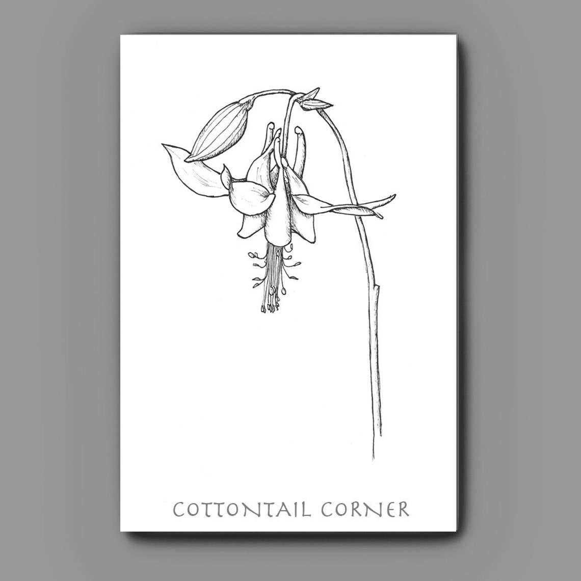 Columbine Flower, Pen and Ink, Hand Drawing, Instant Download, Wall Art ...
