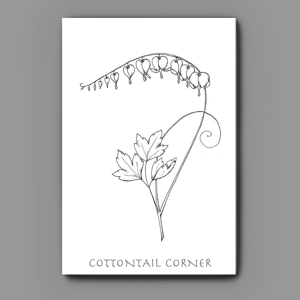 Bleeding Heart Flower, Pen and Ink, Hand Drawing, Instant Download ...