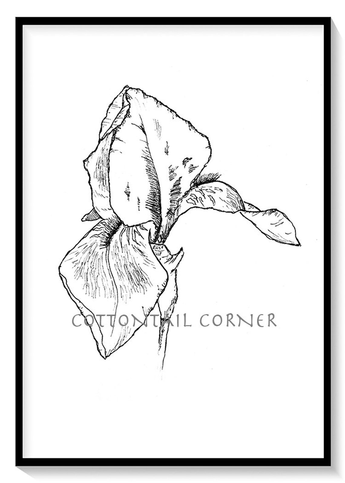 Iris flower pen and ink hand drawing instant download wall | Etsy