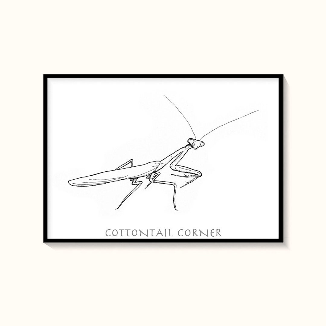 Praying Mantis, Pen and Ink, Hand Drawing, Instant Download, Wall Art ...