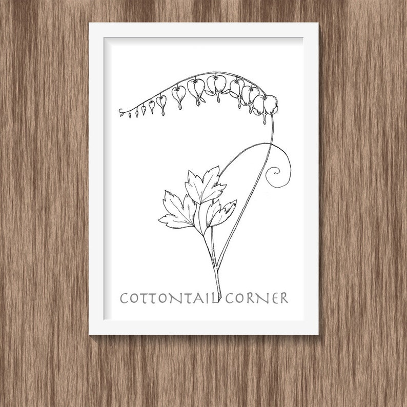 Bleeding Heart Flower, Pen and Ink, Hand Drawing, Instant Download ...