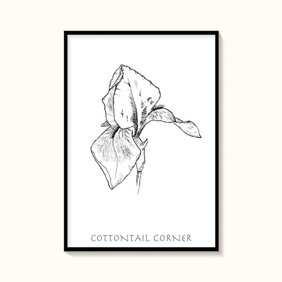 Iris Flower Pen and Ink Hand Drawing Instant Download Wall | Etsy