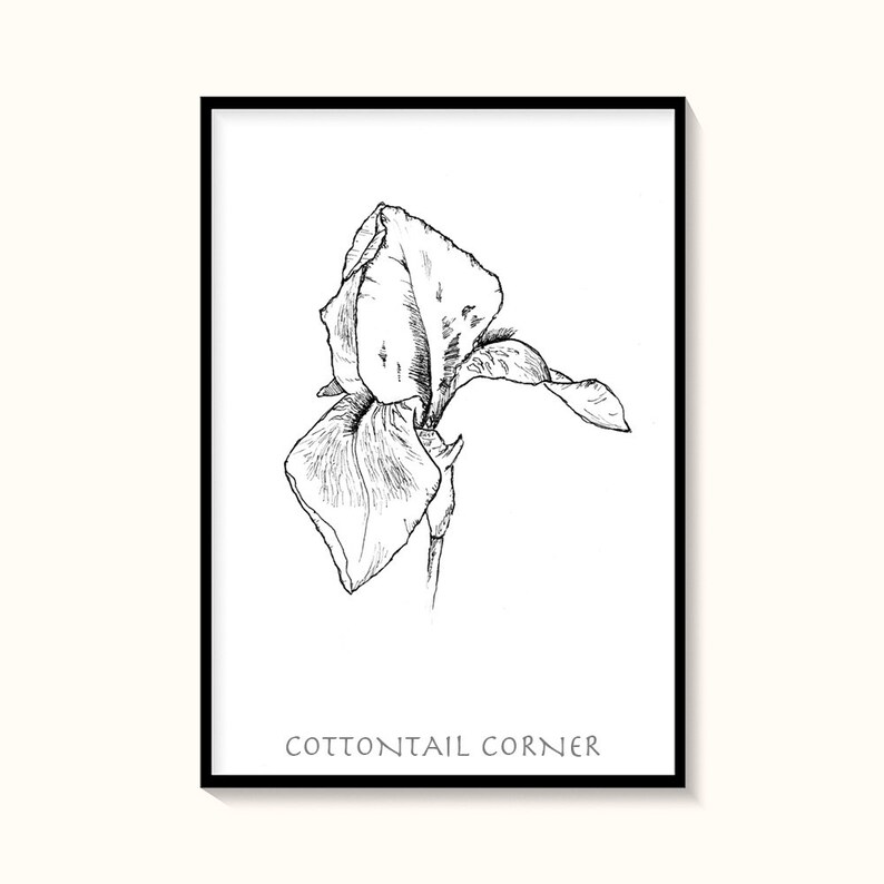 Iris Flower, Pen and Ink, Hand Drawing, Instant Download, Wall Art ...