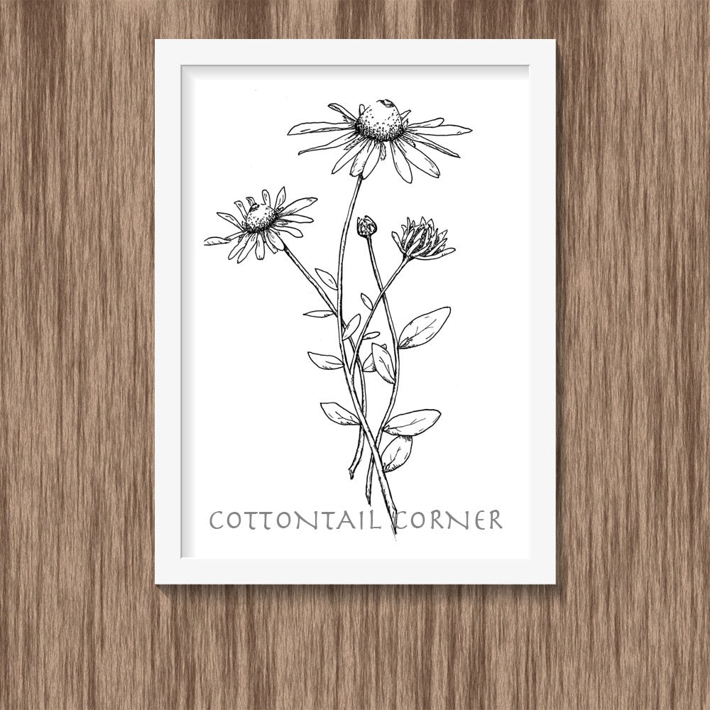 Black Eyed Susan, Pen and Ink, Hand Drawing, Instant Download, Wall Art ...