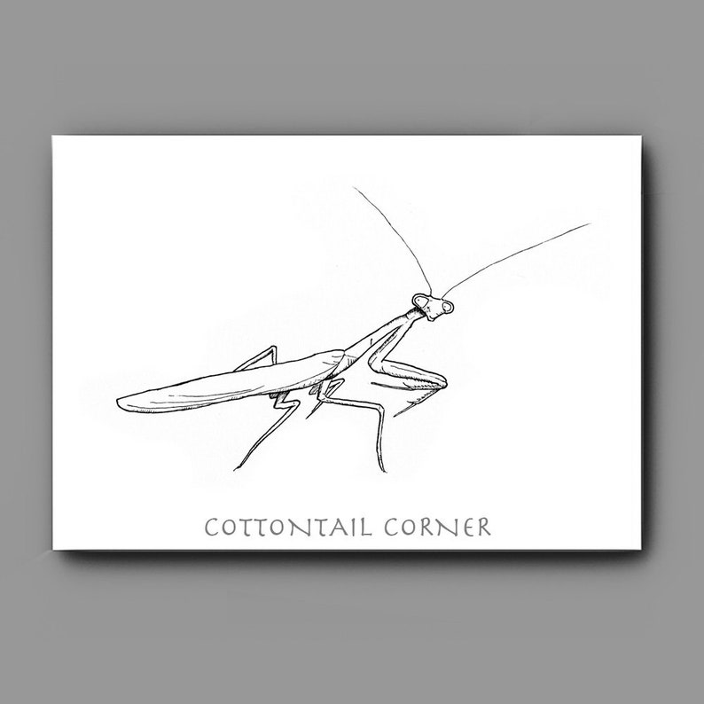 Praying Mantis, Pen and Ink, Hand Drawing, Instant Download, Wall Art ...
