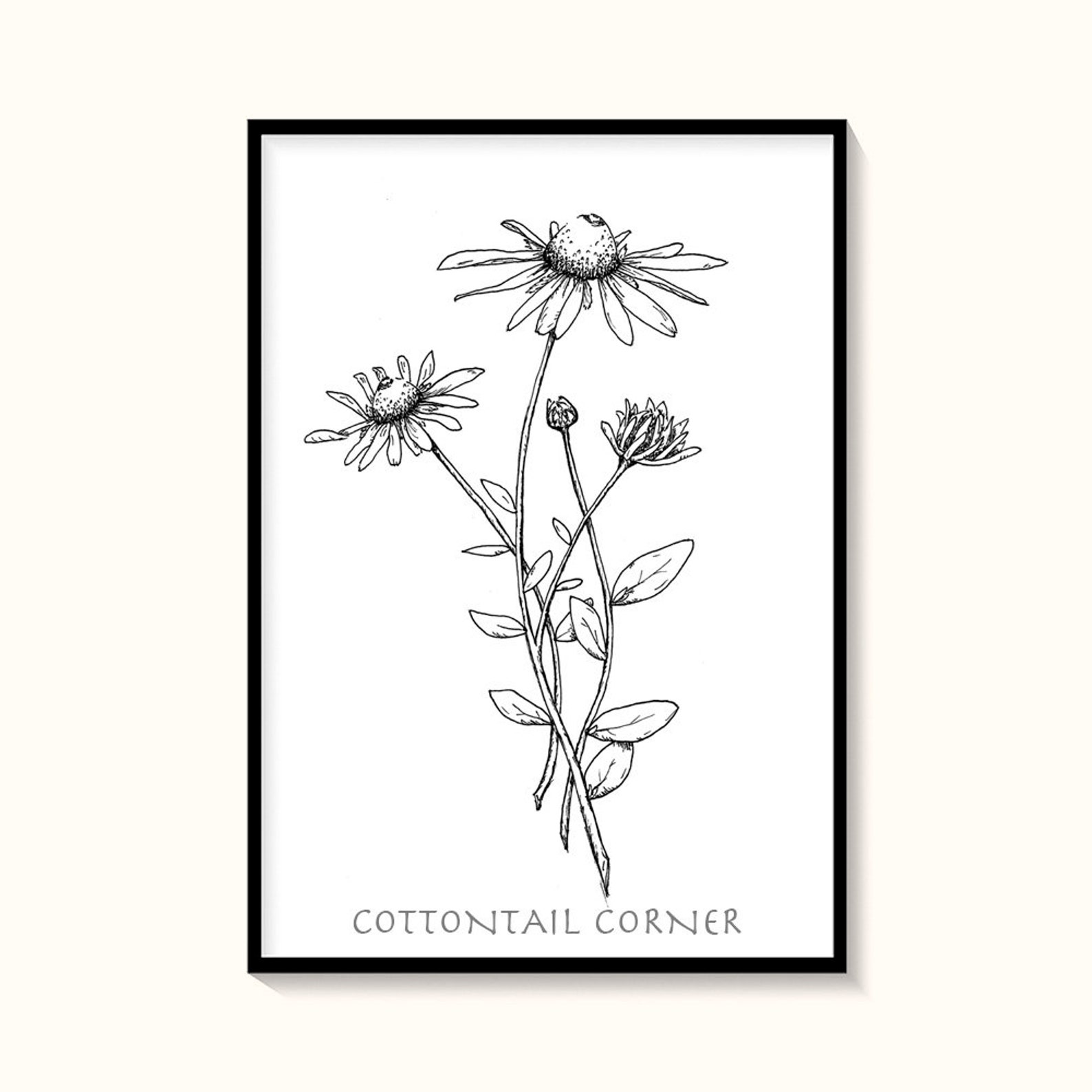 Black Eyed Susan, Pen and Ink, Hand Drawing, Instant Download, Wall Art ...