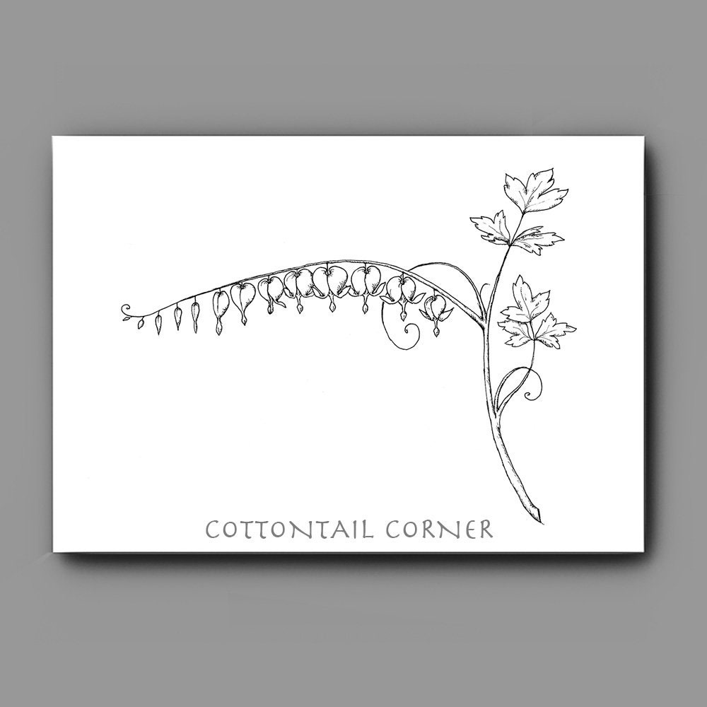 Bleeding Heart Flower, Pen and Ink, Hand Drawing, Instant Download ...