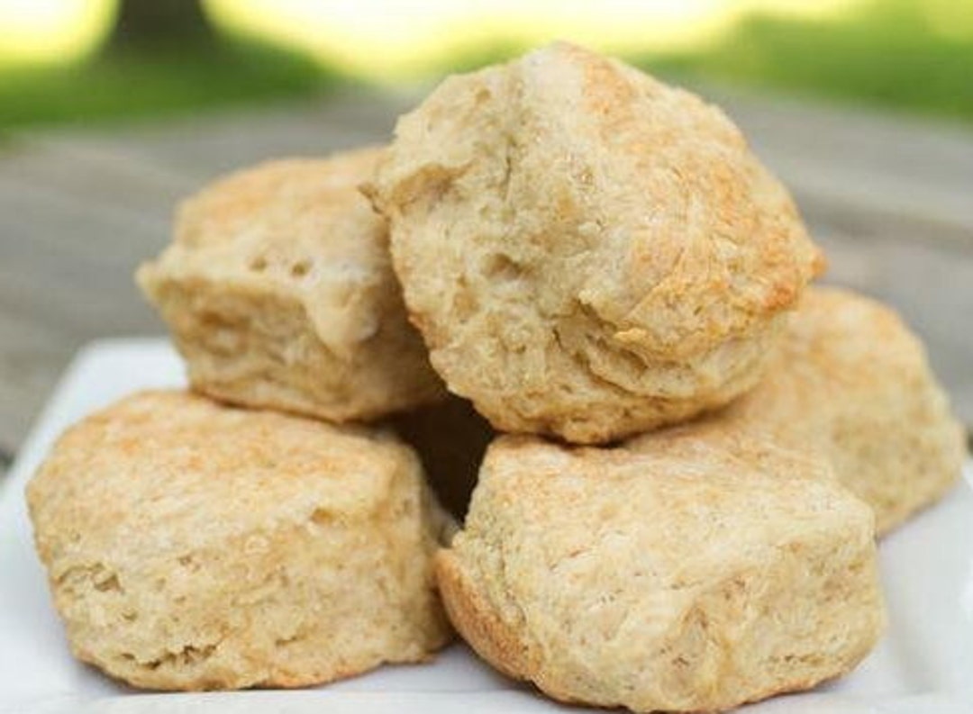 Southern Beer Biscuits Recipe - Digital PDF Download - Etsy