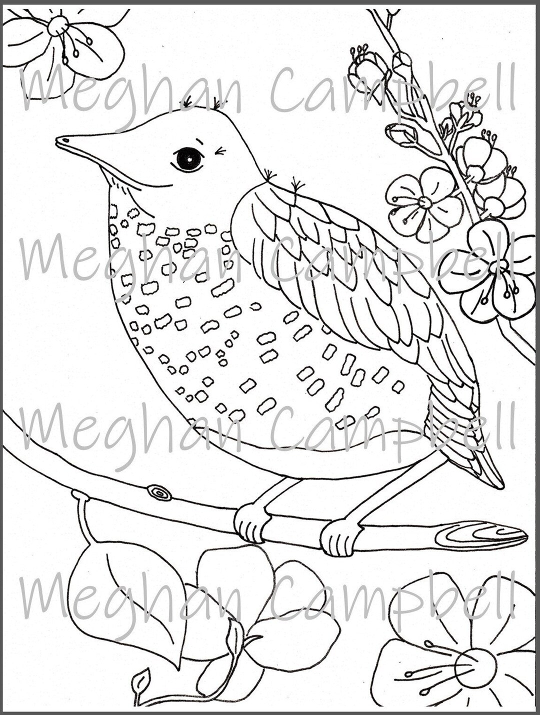 American Robin Chick Printable Coloring Page - Etsy