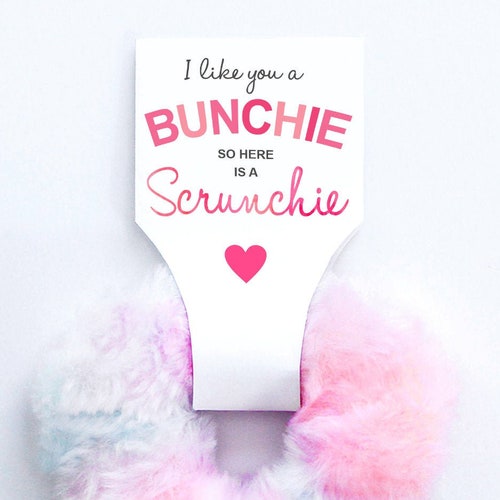 Valentine Hair Tie Tags Love is in the Hair Girl Valentine - Etsy