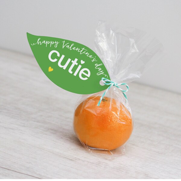 Class Valentines - Etsy