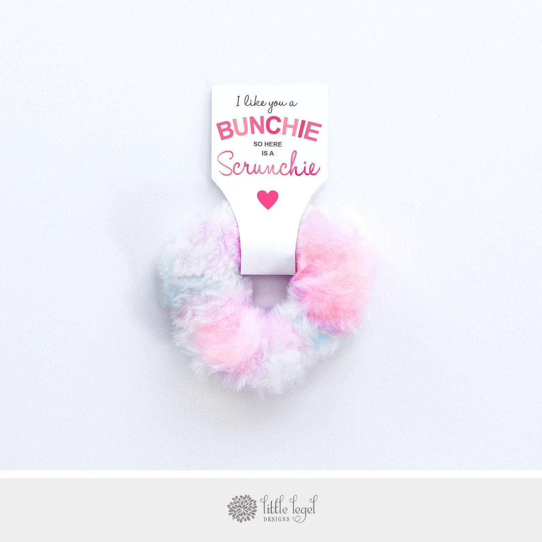 Scrunchie Valentines. Girl Teen Tween Hair Tie. Like You a Bunchie Here ...