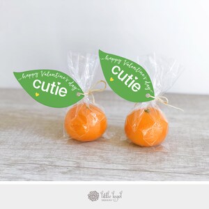 Cutie Valentine. Healthy Non Candy Valentine. Mandarin Orange Fruit ...