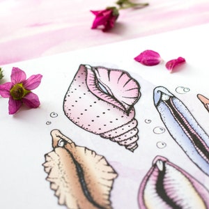 The She-shells Art Print - Etsy