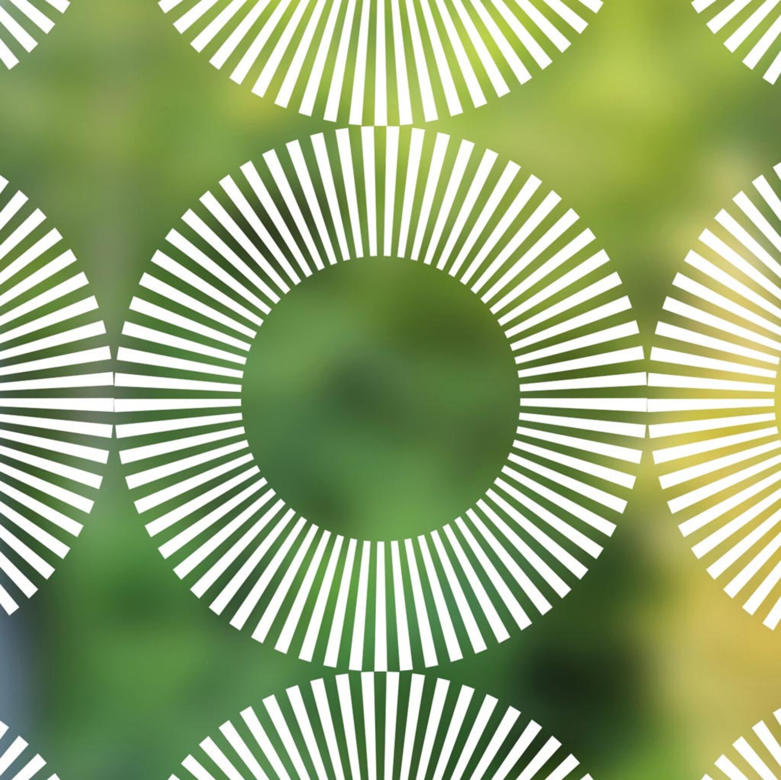 Radial Sheer Window Film Standard 36 In. X 48 In - Etsy