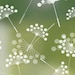 PRIVACY Window FILM | Custom Size Window Decal | Waterproof Frosted ...