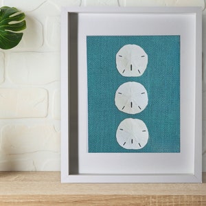 Sand Dollar Shadowbox Frame | Handmade Coastal Beach Home Decor ...