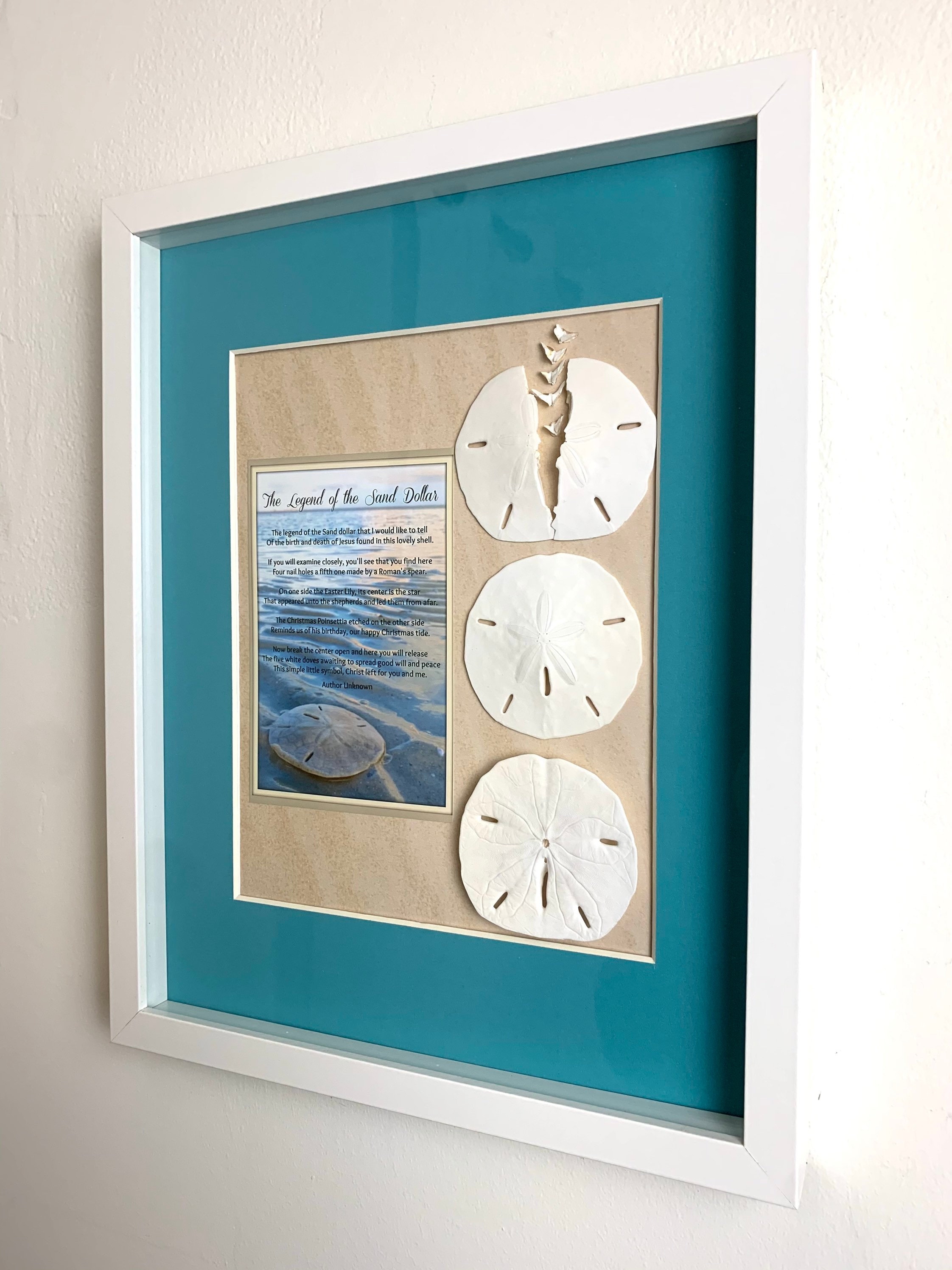 Sand Dollar Shadow Box
