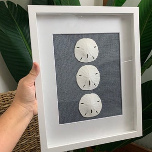 Sand Dollar Shadowbox Frame | Handmade Coastal Beach Home Decor ...