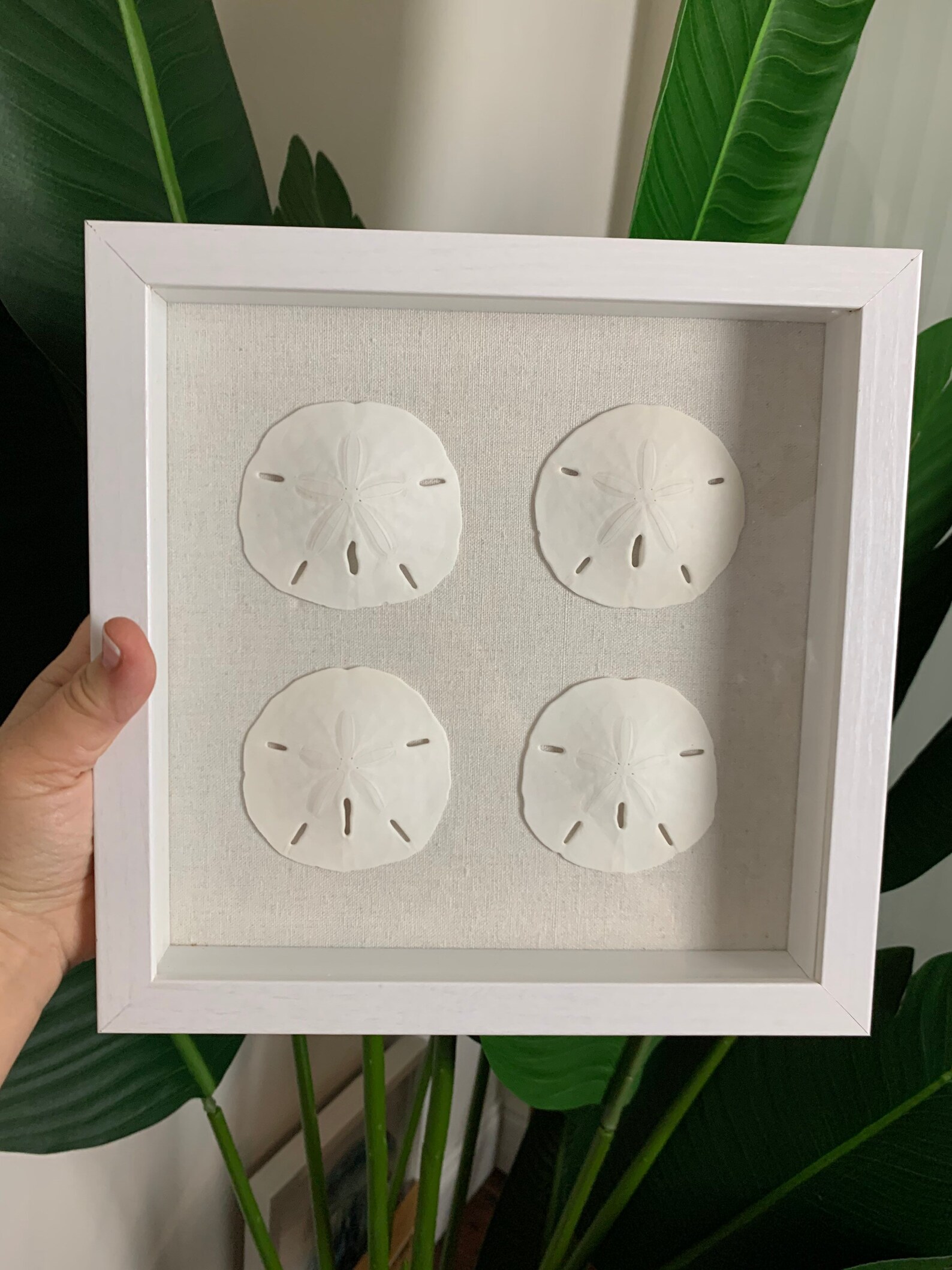 10x10 Shadowboxes Framed Custom Beach Art Sand - Etsy