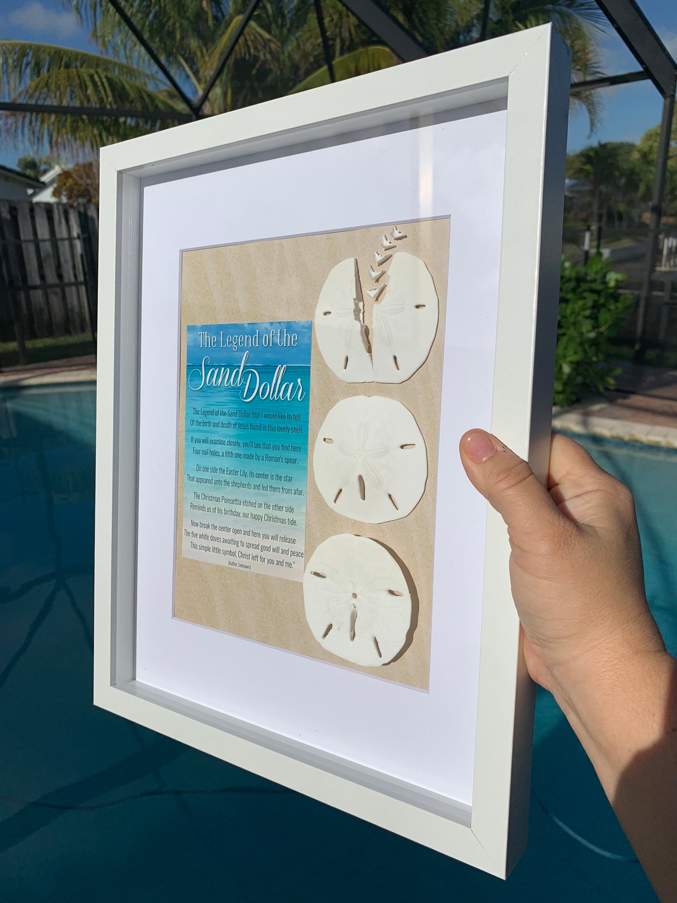 Legend of the Sand Dollar Poem Wall Art 11x14 Shadowbox | Etsy