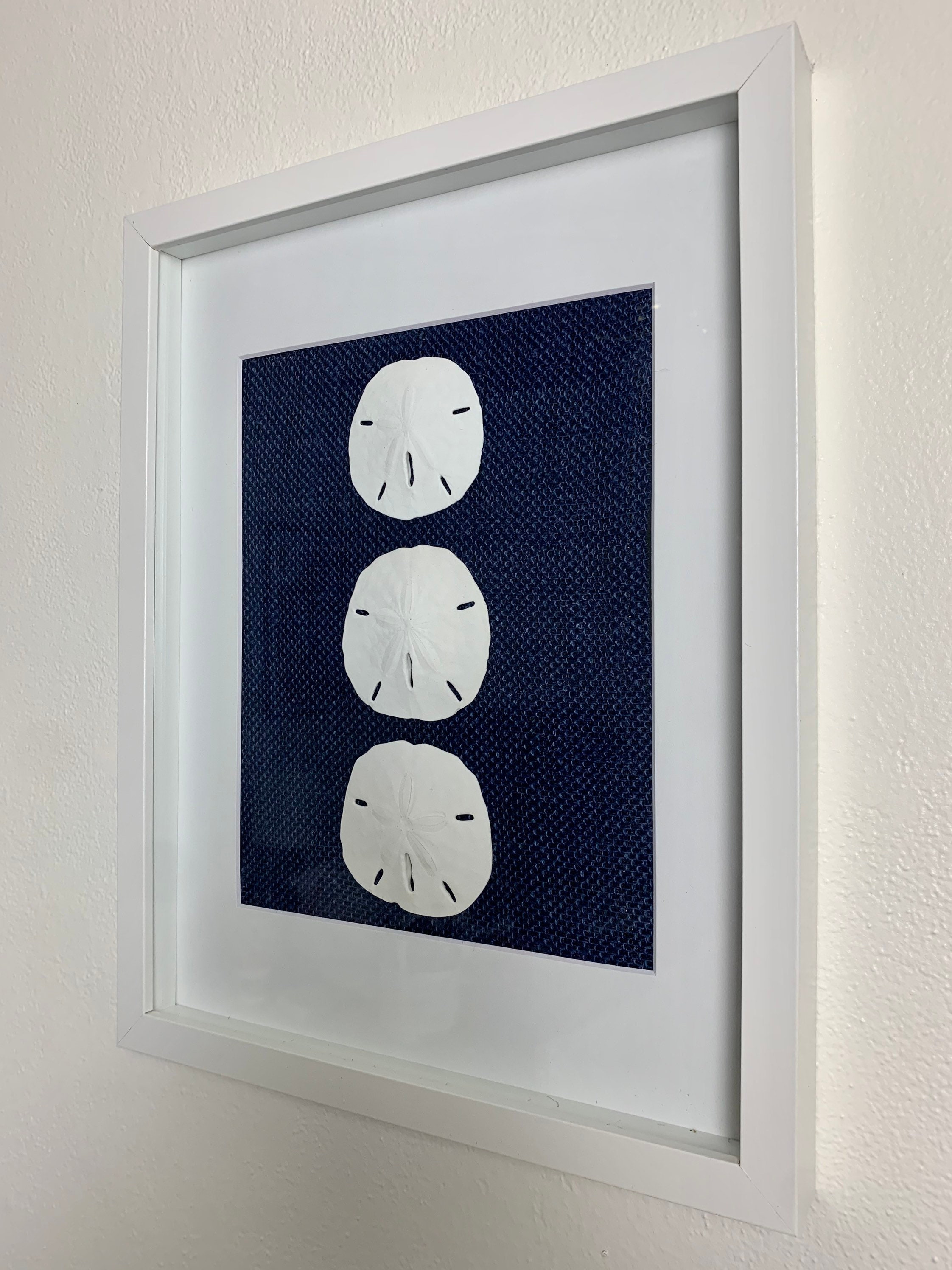 11x14 Sand Dollar Shadowbox Frame Beach Coastal - Etsy