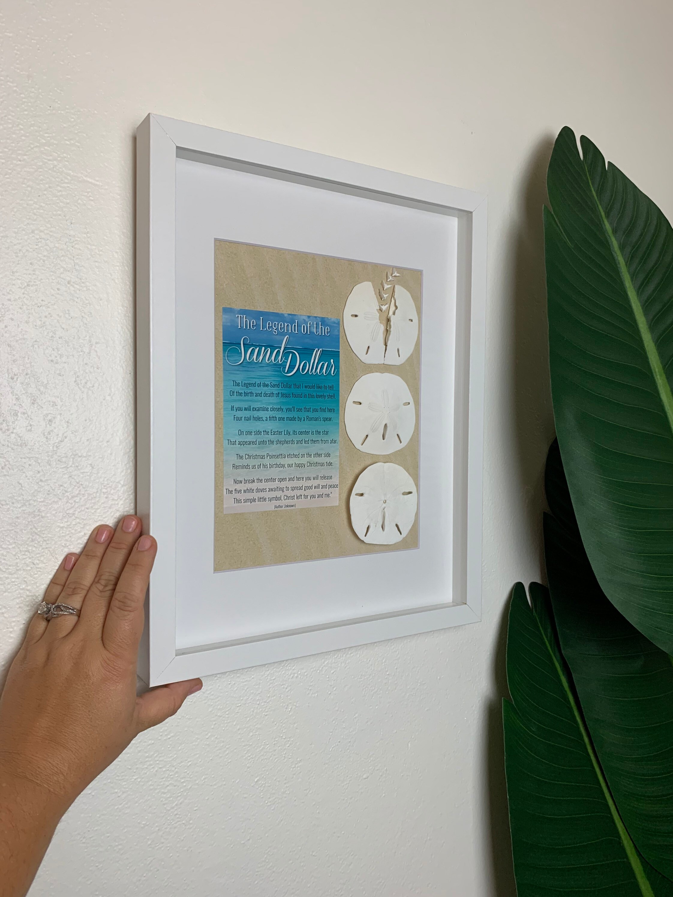 Legend of the Sand Dollar Poem Wall Art 11x14 Shadowbox | Etsy